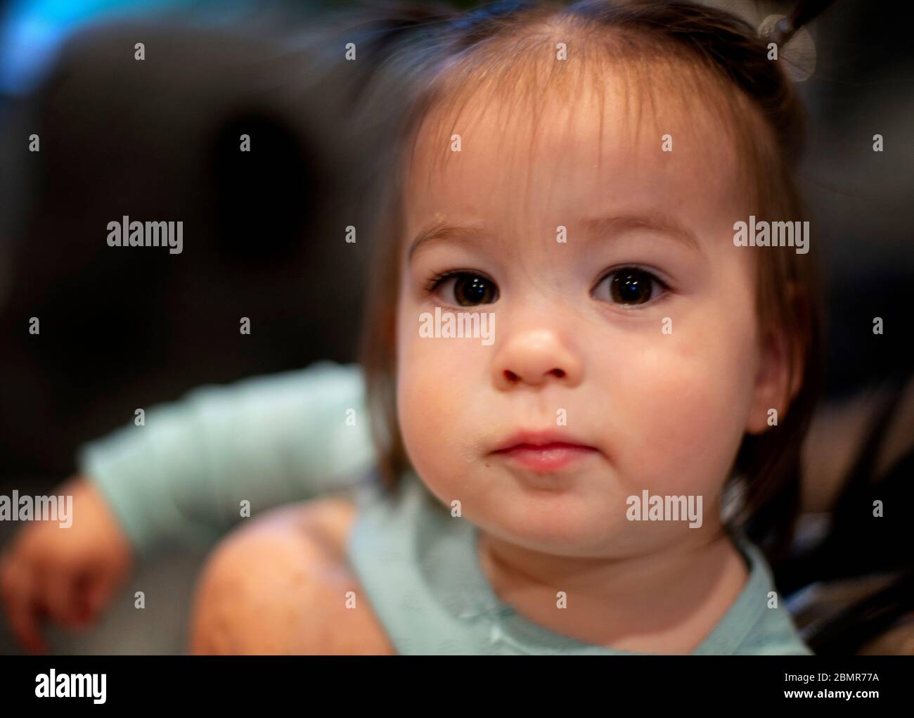 Looking at the camera Stock Photo - Alamy