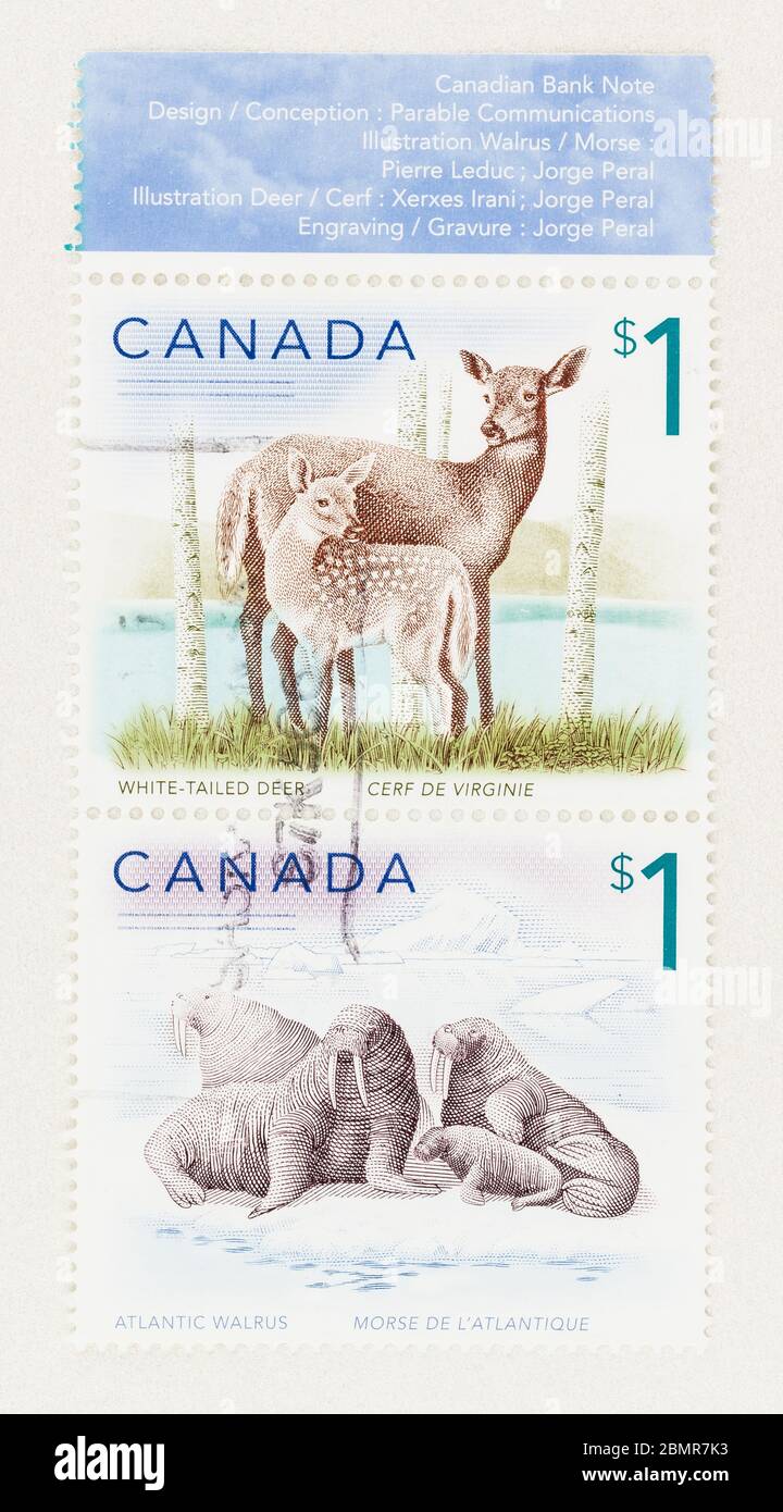 SEATTLE WASHINGTON - May 10, 2020: 2005 One dollar Canadian stamps ...