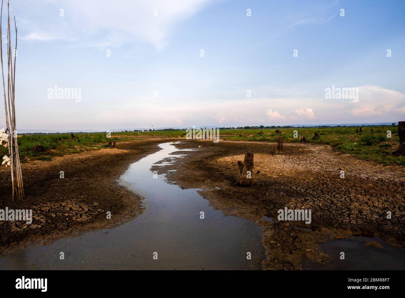arid landscape, global warming effect Stock Photo - Alamy