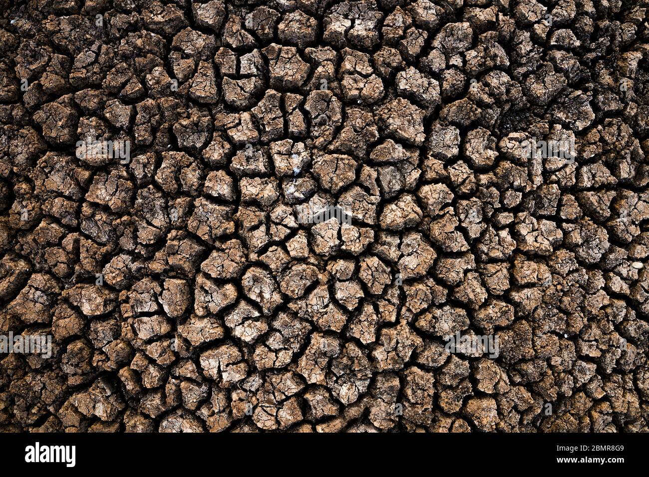 crackle soil texture and background Stock Photo - Alamy