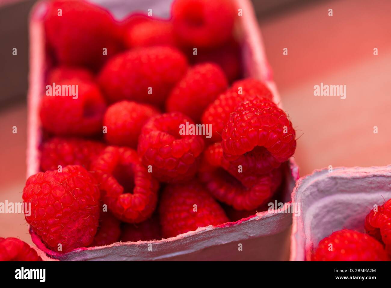 Close up food photo of organic raspberries at the farmers market stall ...