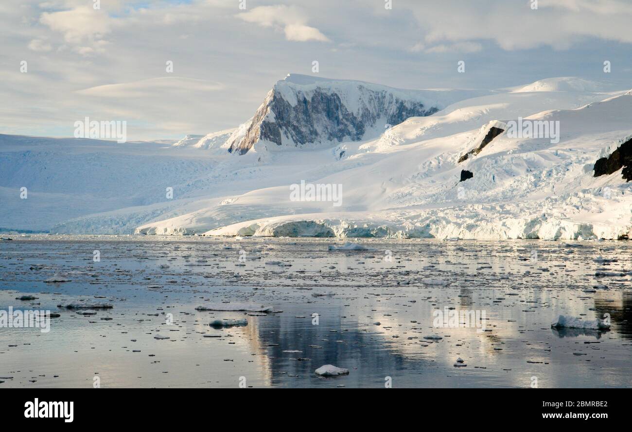 Pristine, crisp and calm morning at icy Neko Harbor, Antarctica Stock ...