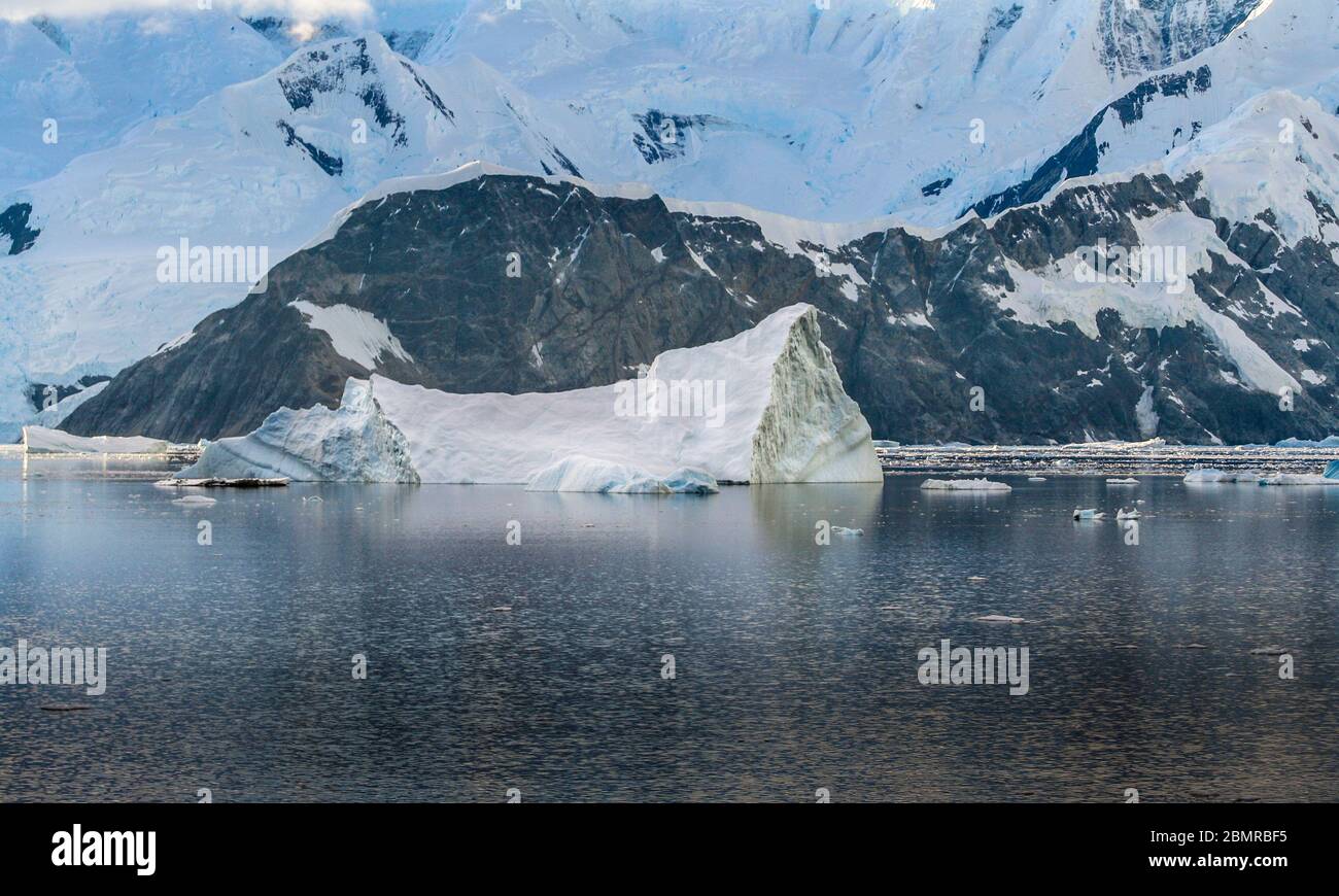 Pristine, crisp and calm morning at icy Neko Harbor, Antarctica Stock ...