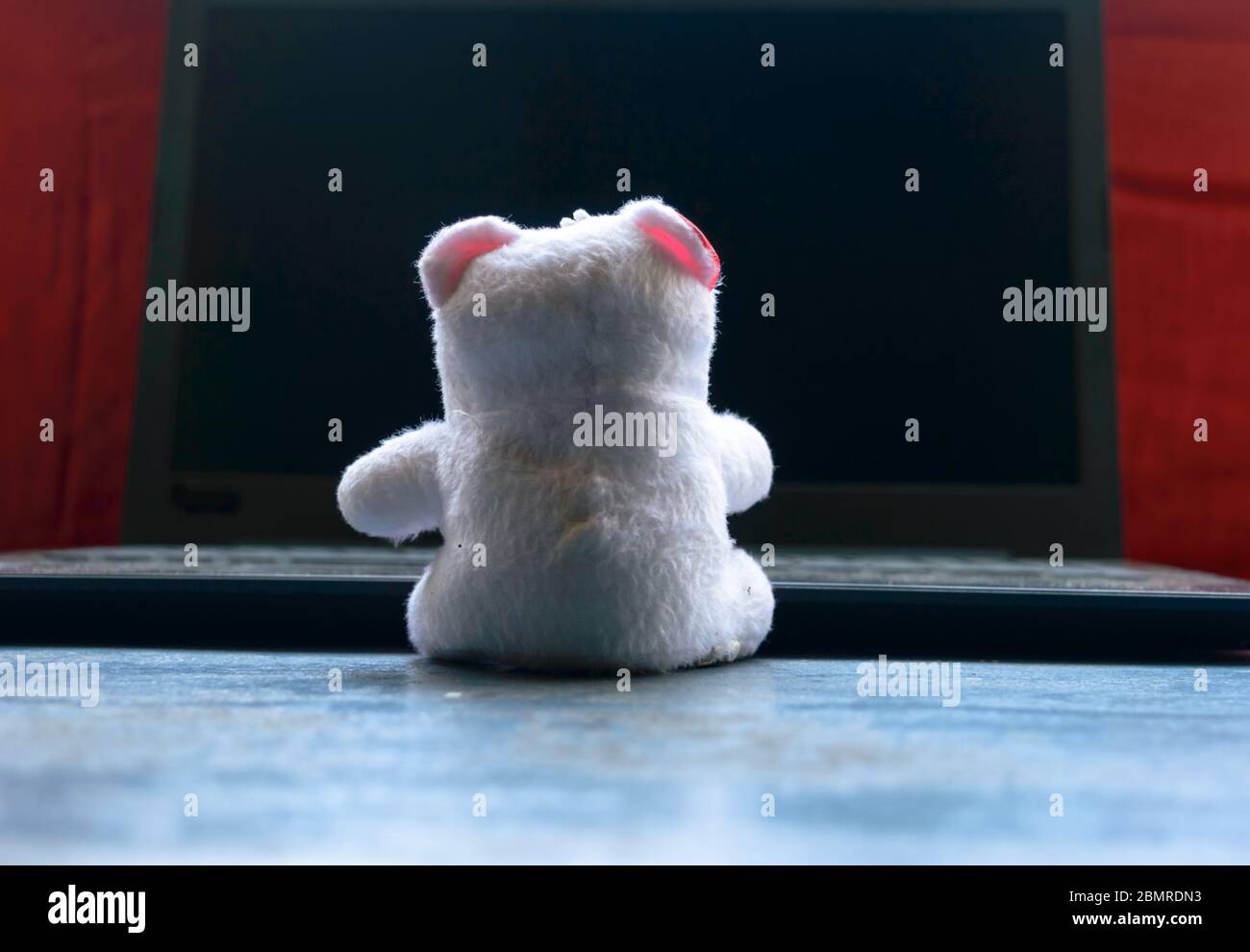 Teddy bear sitting in front of laptop computer device. Still Life ...