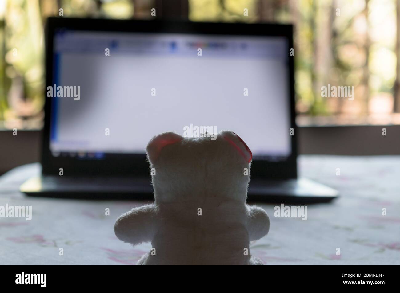 Teddy bear sitting in front of laptop computer device. Still Life ...