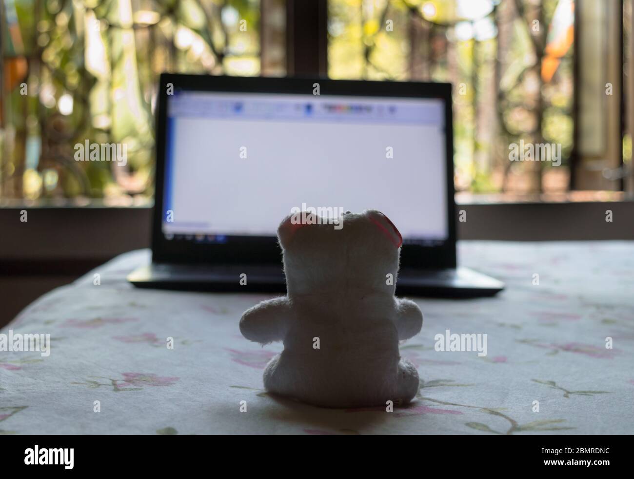 Teddy bear sitting in front of laptop computer device. Still Life ...