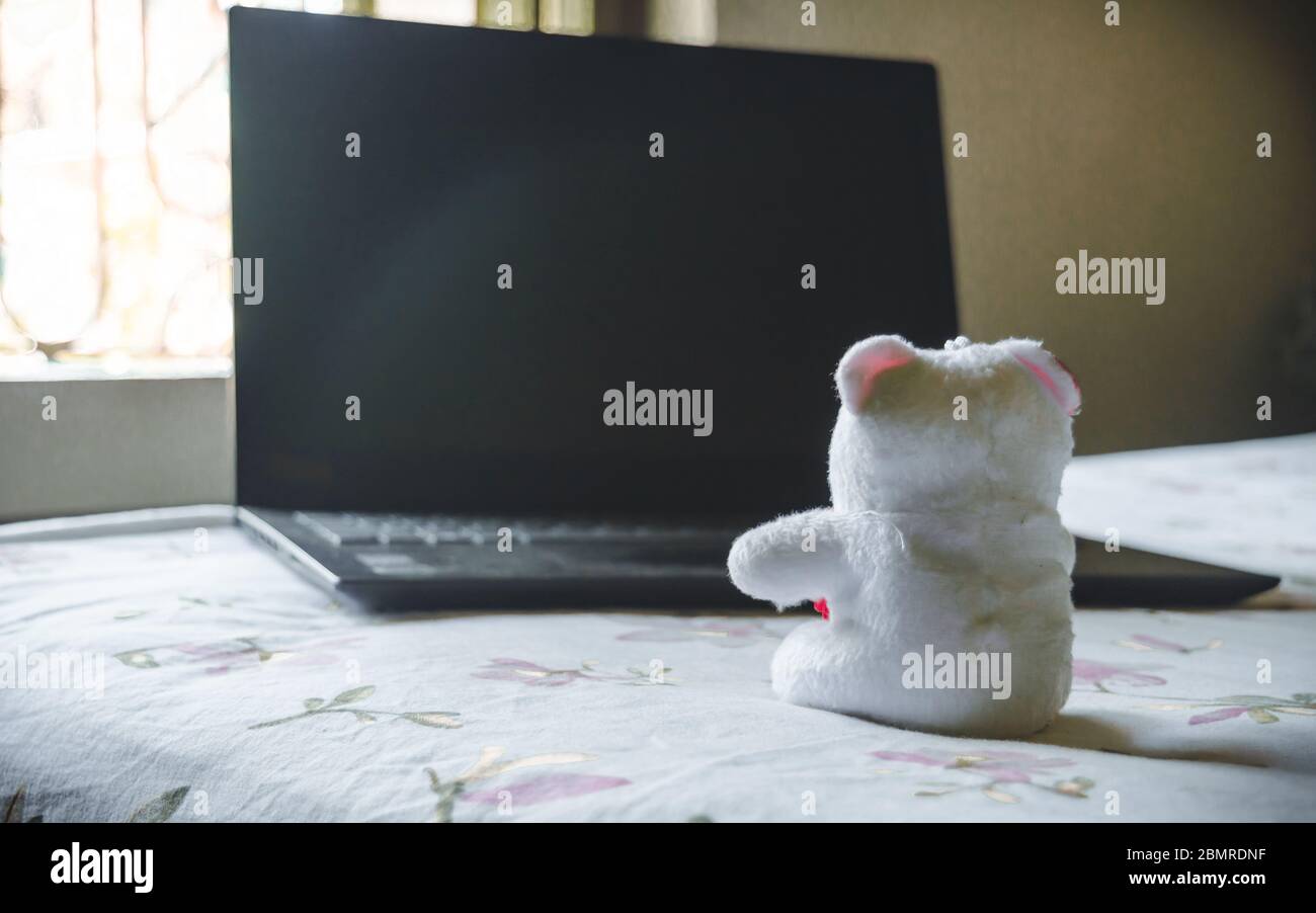 Teddy bear sitting in front of laptop computer device. Still Life ...