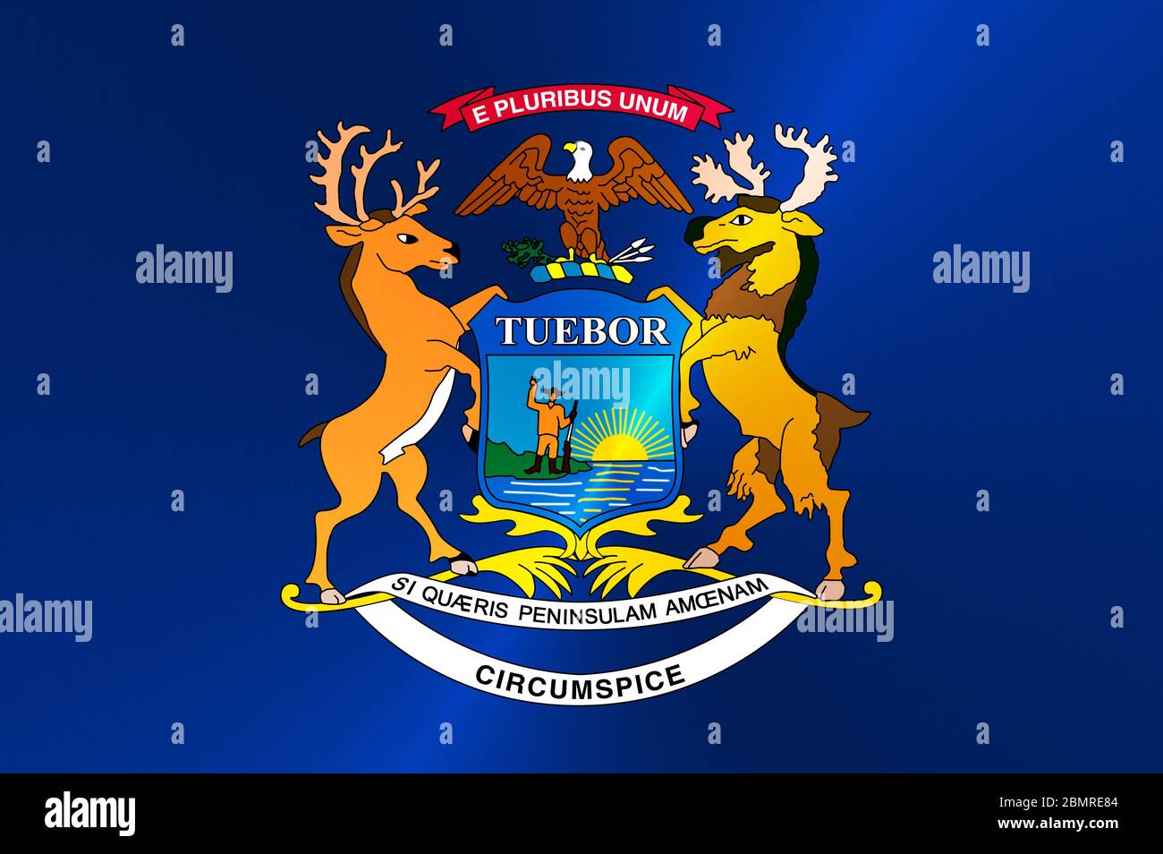 States texture hi-res stock photography and images - Alamy