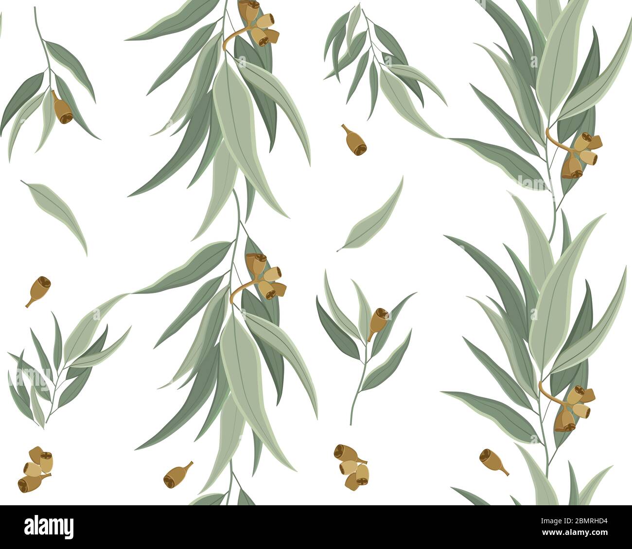 Eucalyptus seamless pattern. Eucalyptus leaves seamless background ...