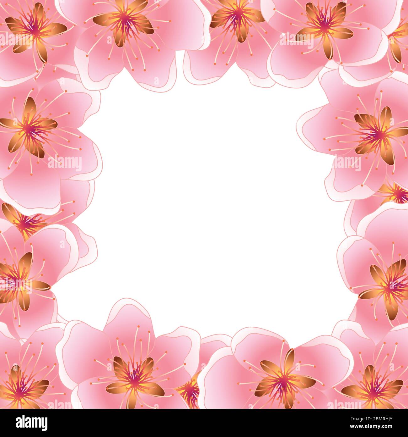 Peach Cherry Blossom Banner Background Vector Illustration Stock Vector ...