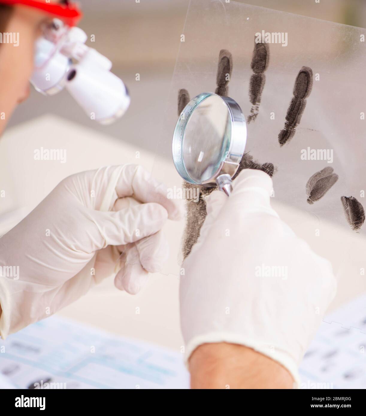 The forensic expert studying fingerprints in the lab Stock Photo - Alamy