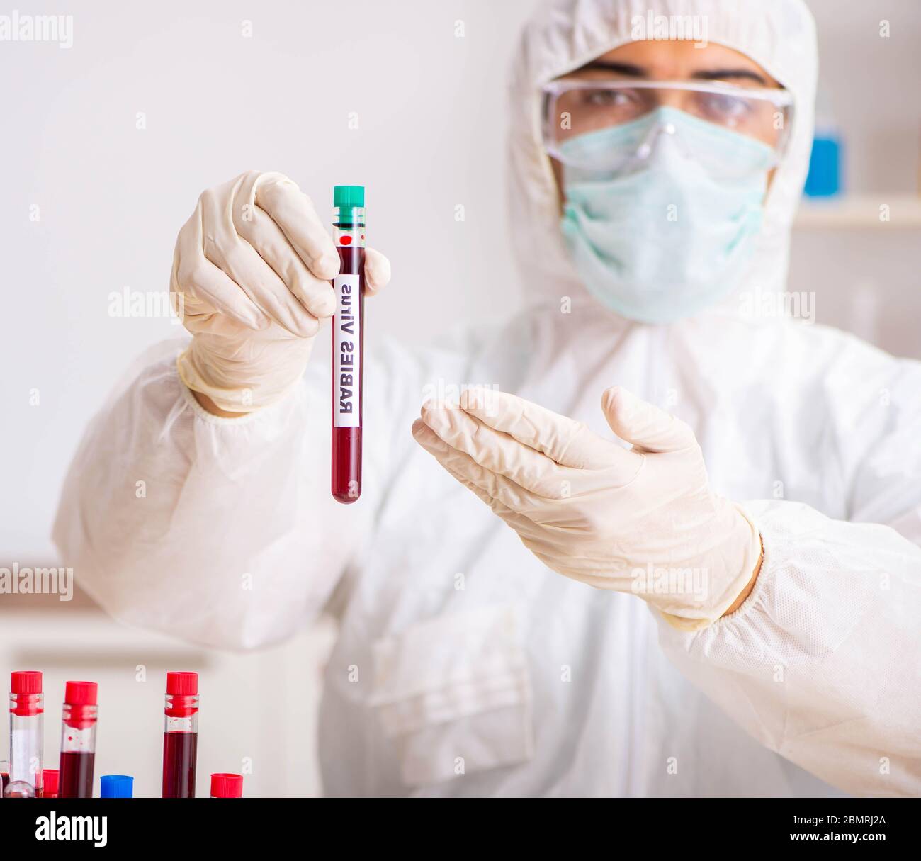 The young handsome lab assistant testing blood samples in hospital ...