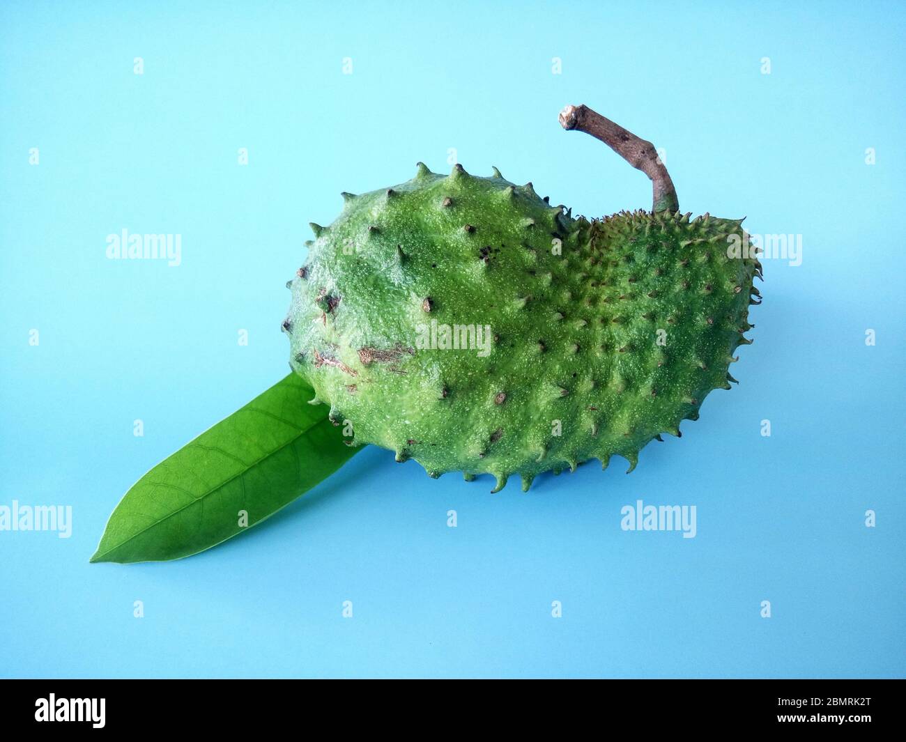 Graviola Tree Hindi Name