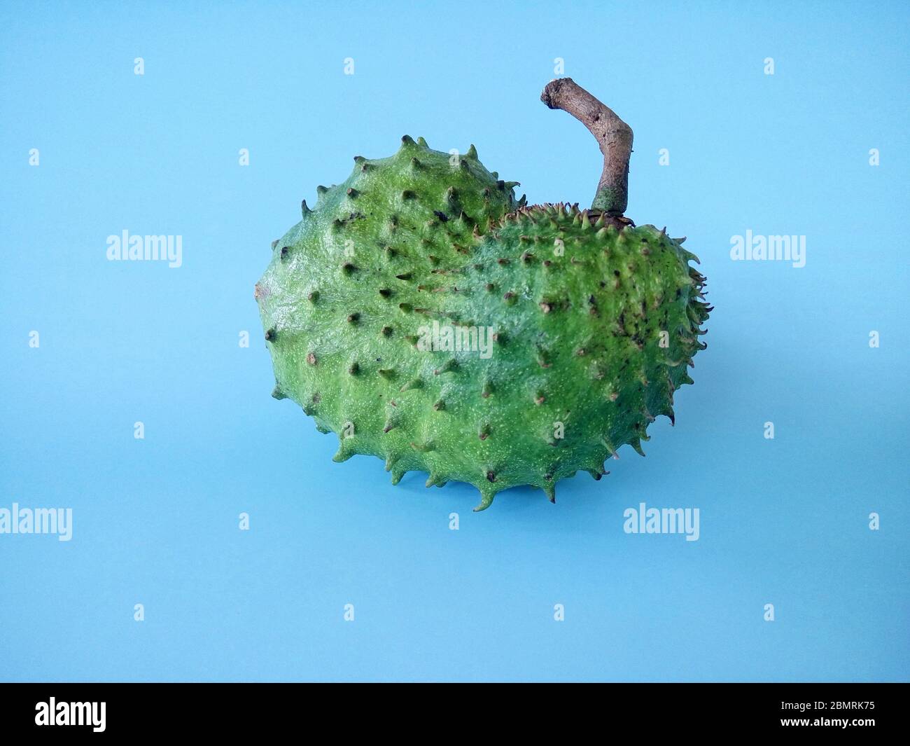 Graviola Tree Indian Name