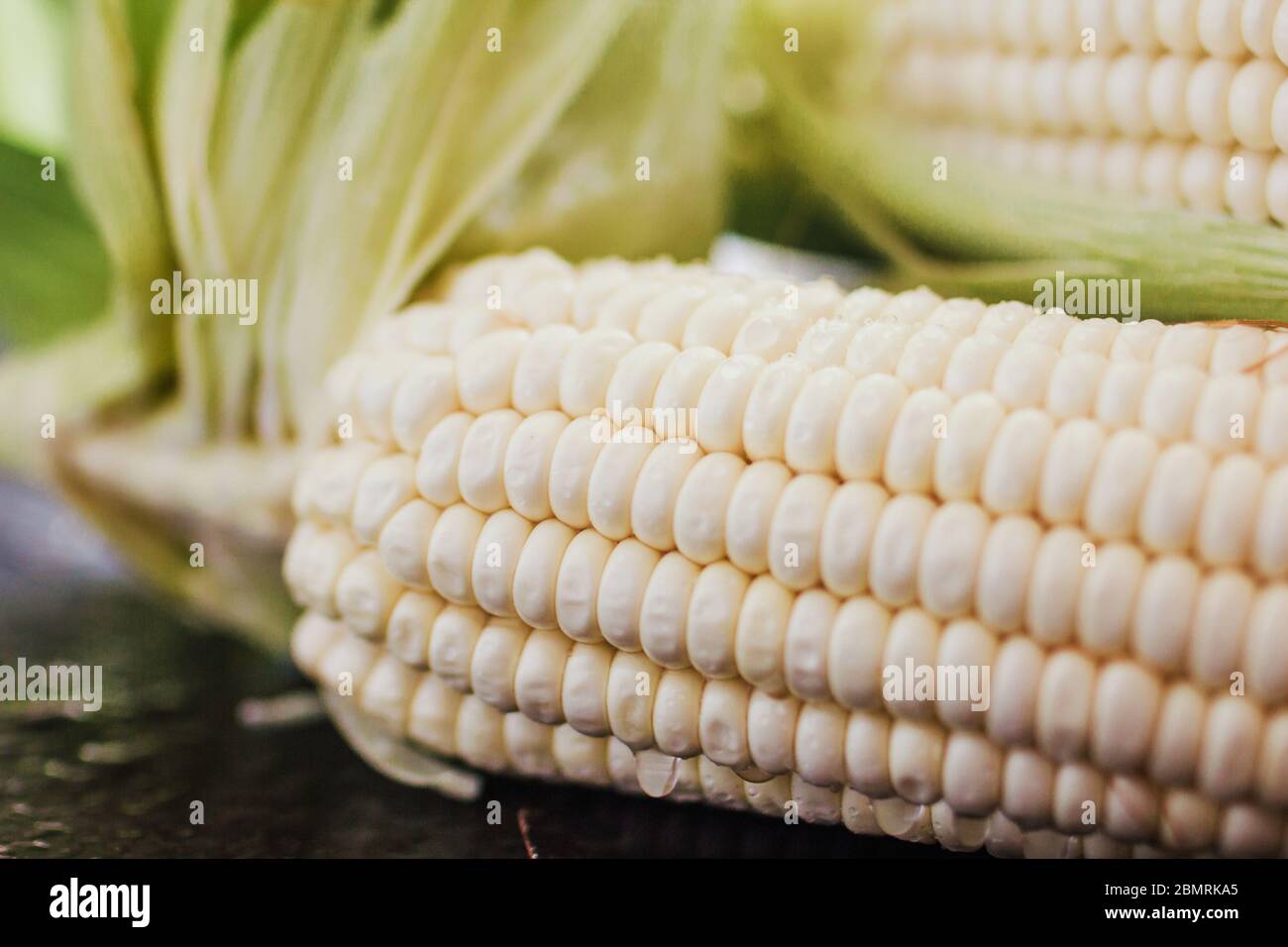 peeled corns in a black background Stock Photo - Alamy