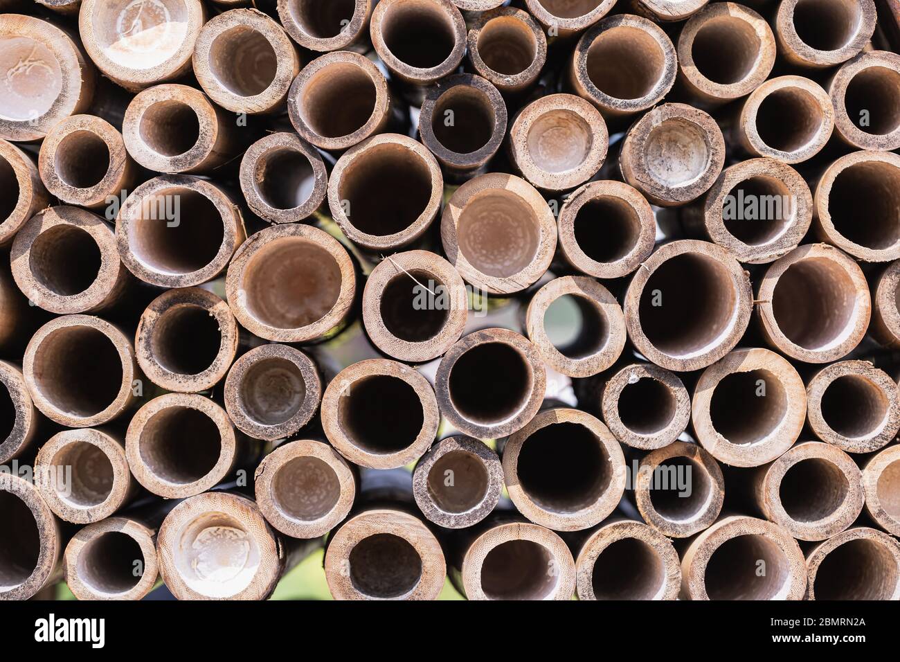 Bamboo tube on white hi-res stock photography and images - Alamy