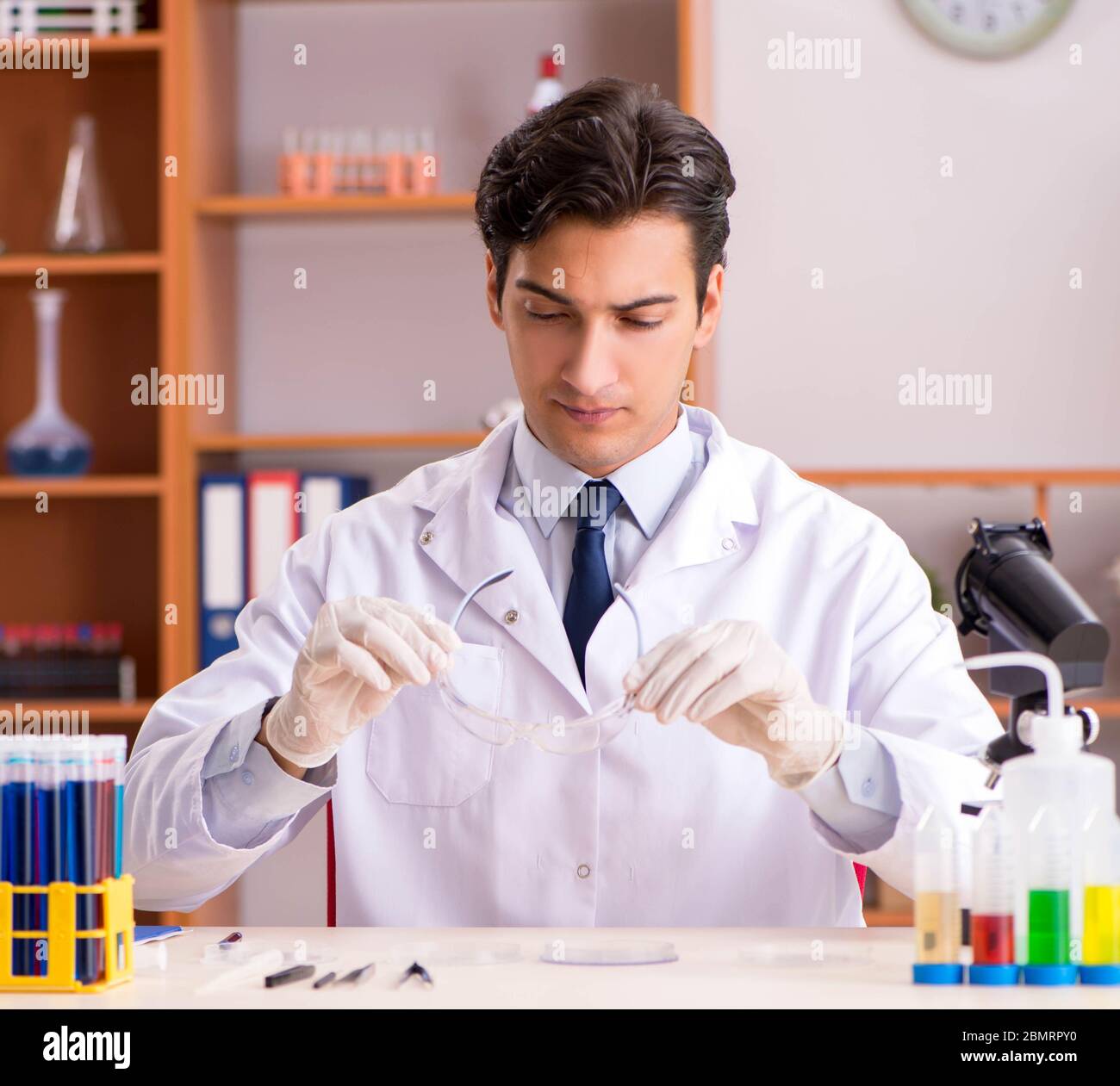 The young biochemist working in the lab Stock Photo - Alamy