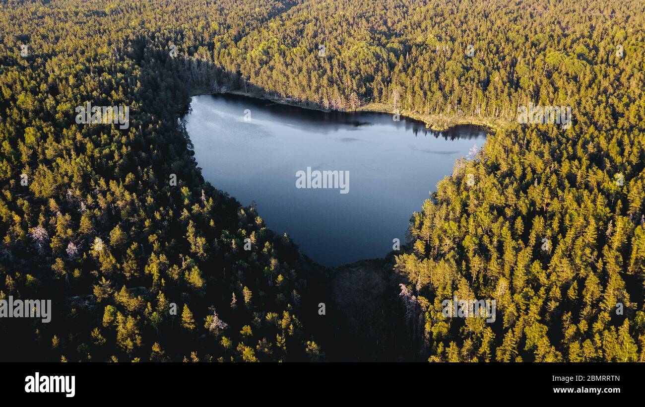 Forest from above Stock Photo - Alamy