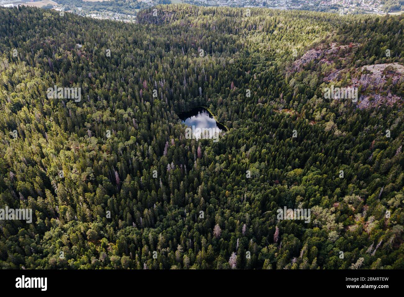 Forest from above Stock Photo - Alamy