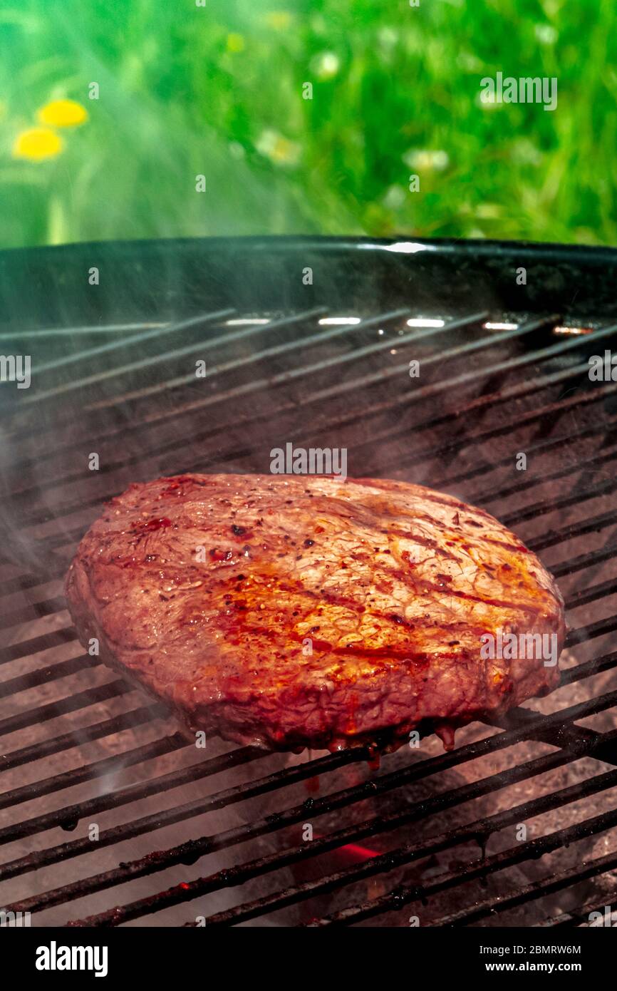 Barbecue cookout. Grilled beef steak with green grass in the background ...