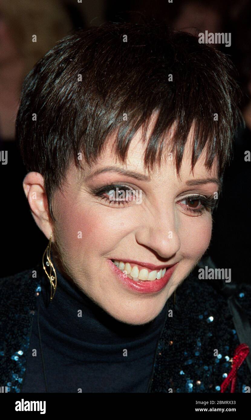LOS ANGELES, CA. January 26, 1993: Actress/singer Liza Minnelli at the ...