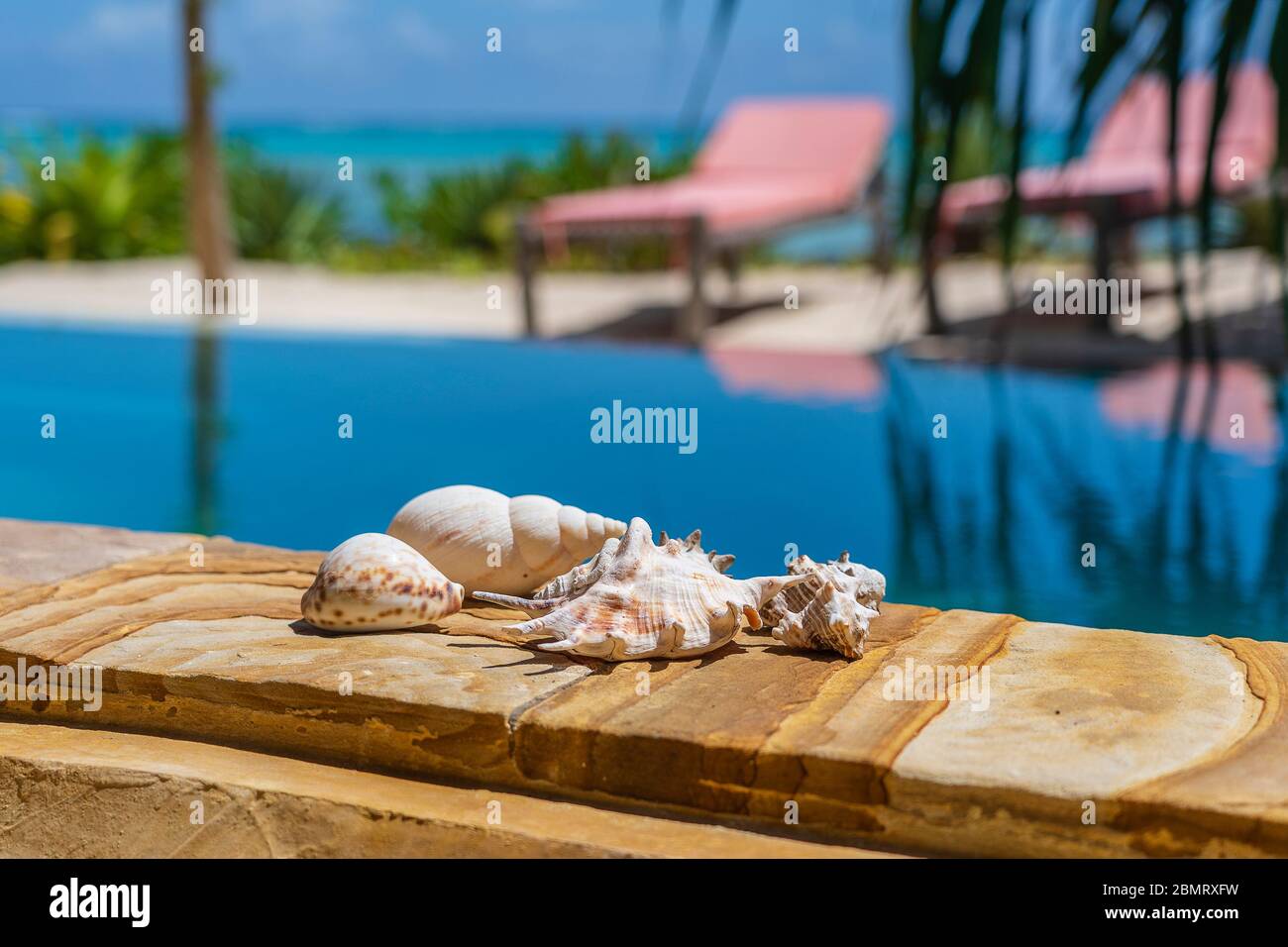 Shells Africa High Resolution Stock Photography and Images - Alamy