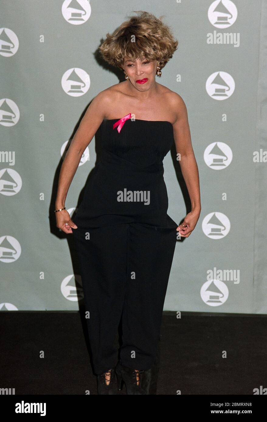 LOS ANGELES, CA. February 24, 1993: Pop star Tina Turner at the 1993 ...