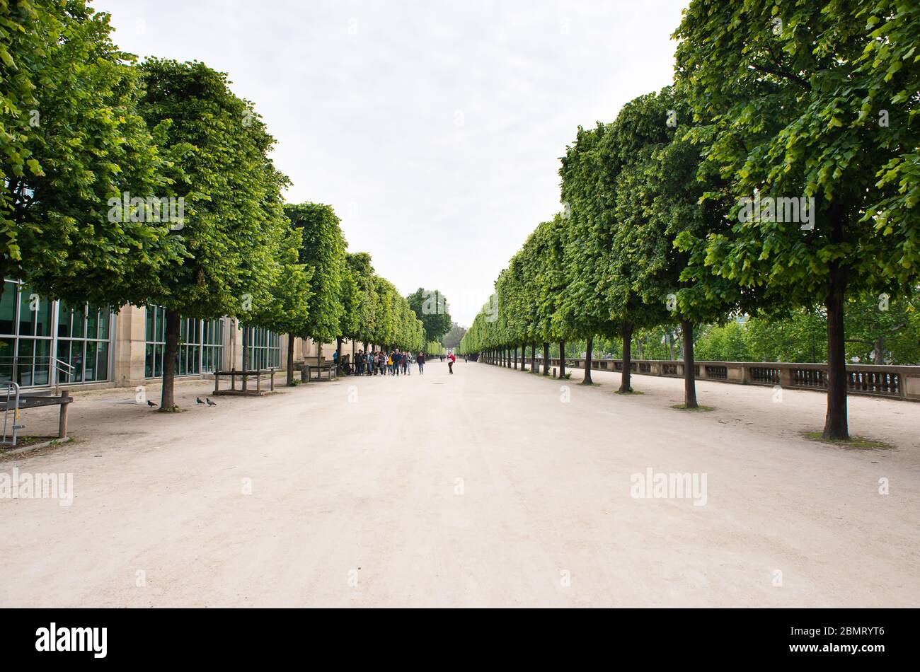 Paris. France - May 17, 2019: Alley with Green Trees in Tuileries ...