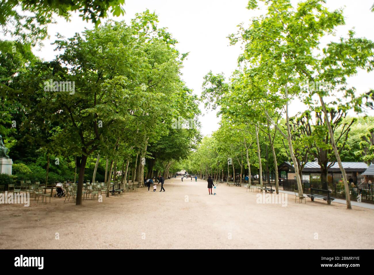 Paris. France - May 17, 2019: Alley with Trees in Luxembourg Palace ...