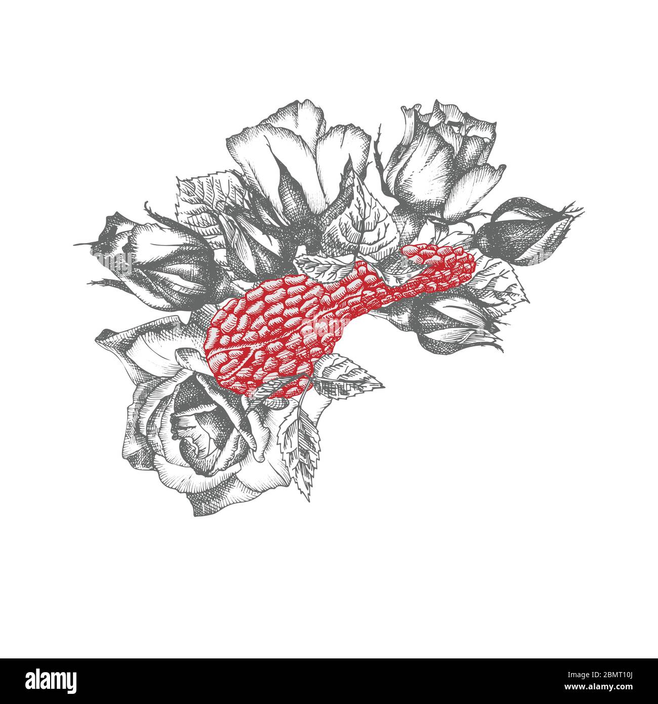 Pancreas with bouquet roses Realistic hand-drawn icon of human internal ...