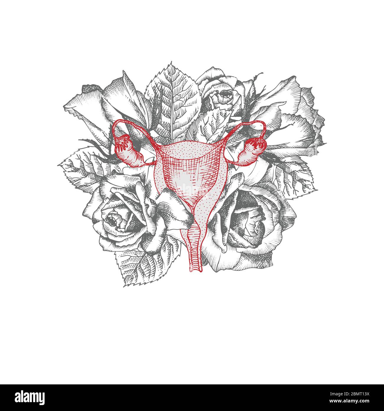Uterus with bouquet roses Realistic hand-drawn icon of human internal ...