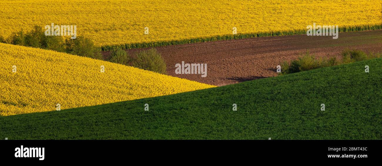 panorama of beautiful spring fields on the rolling hills Stock Photo ...