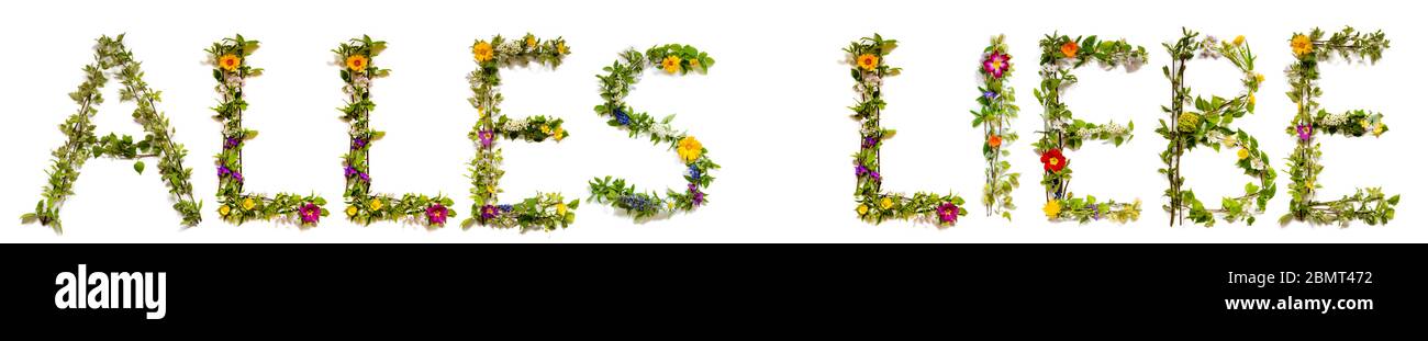Flower And Blossom Letter Building Word Alles Liebe Means Best Wishes Stock Photo - Alamy
