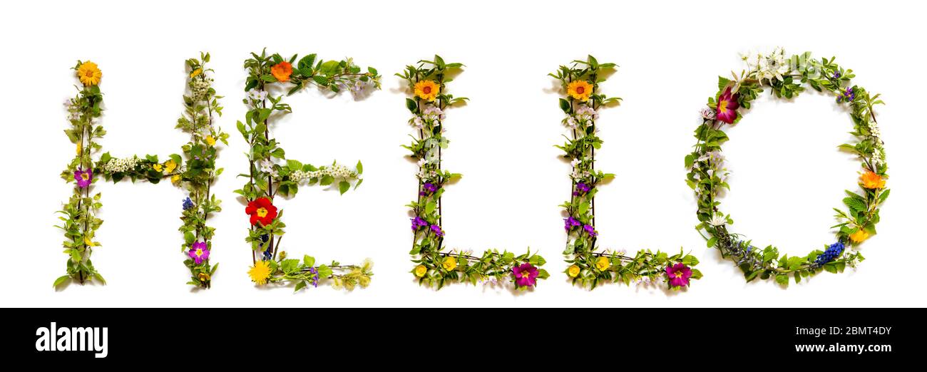 Flower And Blossom Letter Building Word Hello Stock Photo - Alamy