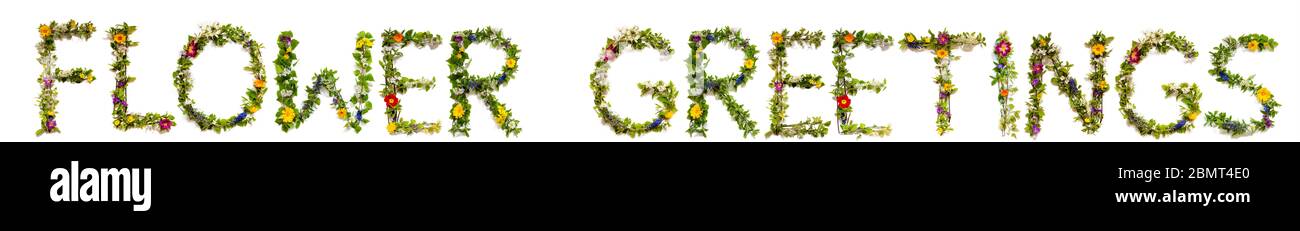 Flower And Blossom Letter Building Word Flower Greetings Stock Photo ...