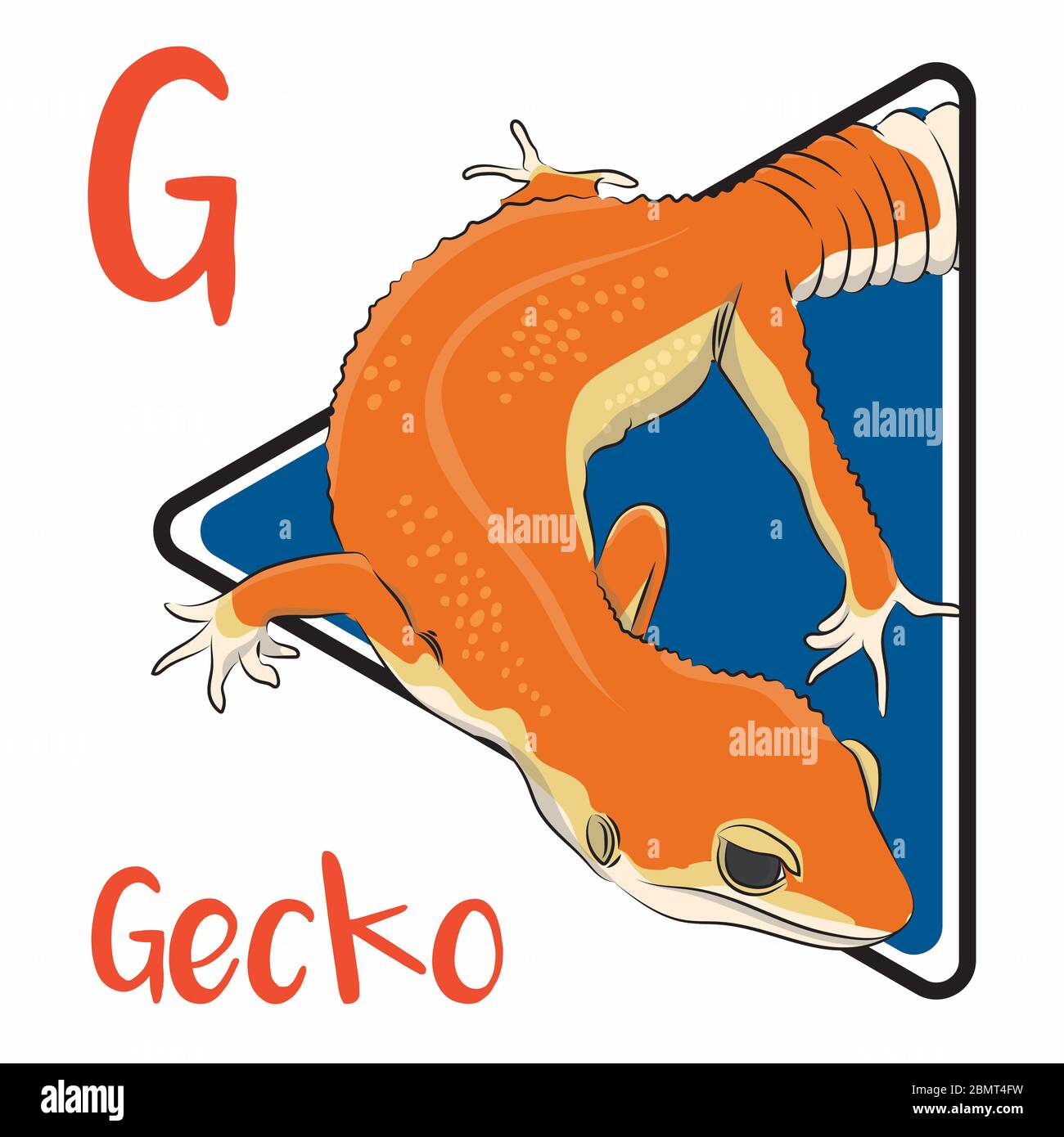 Gecko design Cut Out Stock Images & Pictures - Alamy