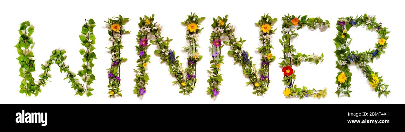 Prize win flower Cut Out Stock Images & Pictures - Alamy