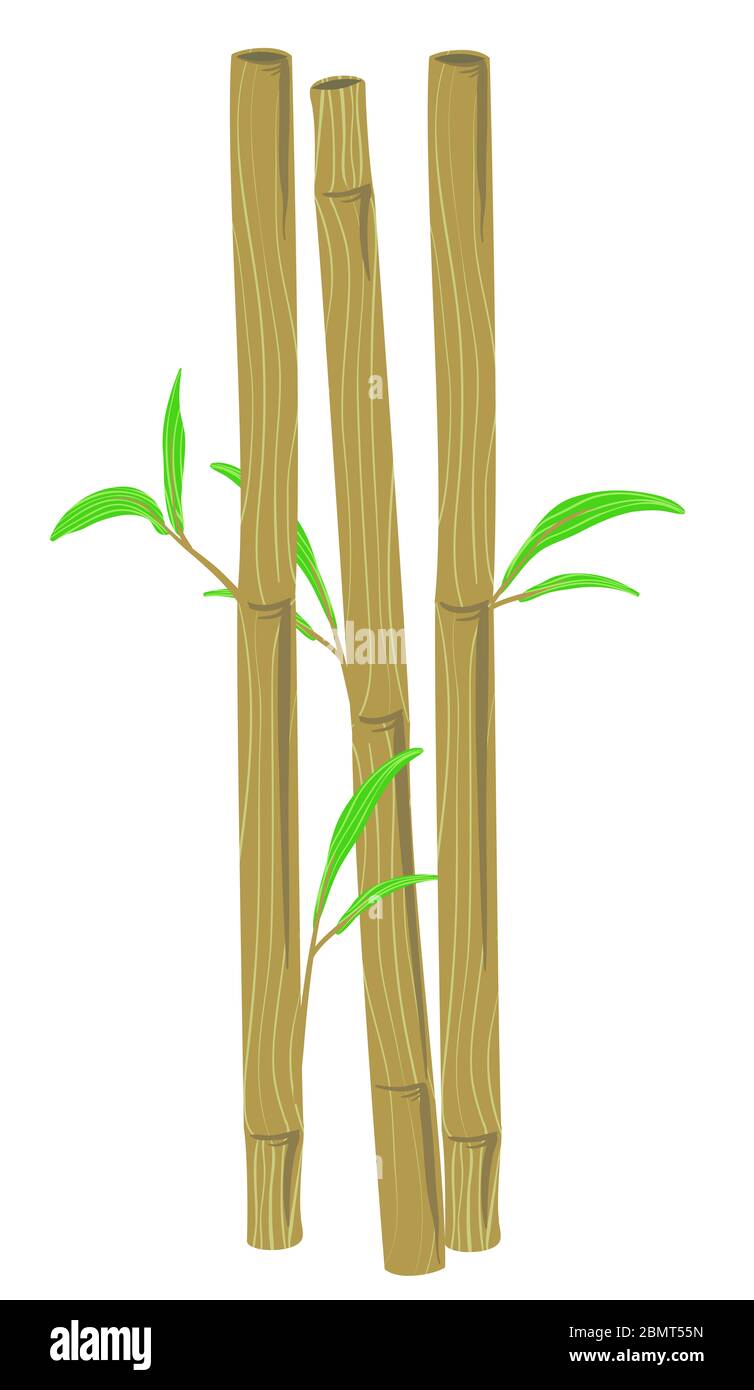Illustration of Abstract Bamboo Straws with Leaves Stock Photo - Alamy