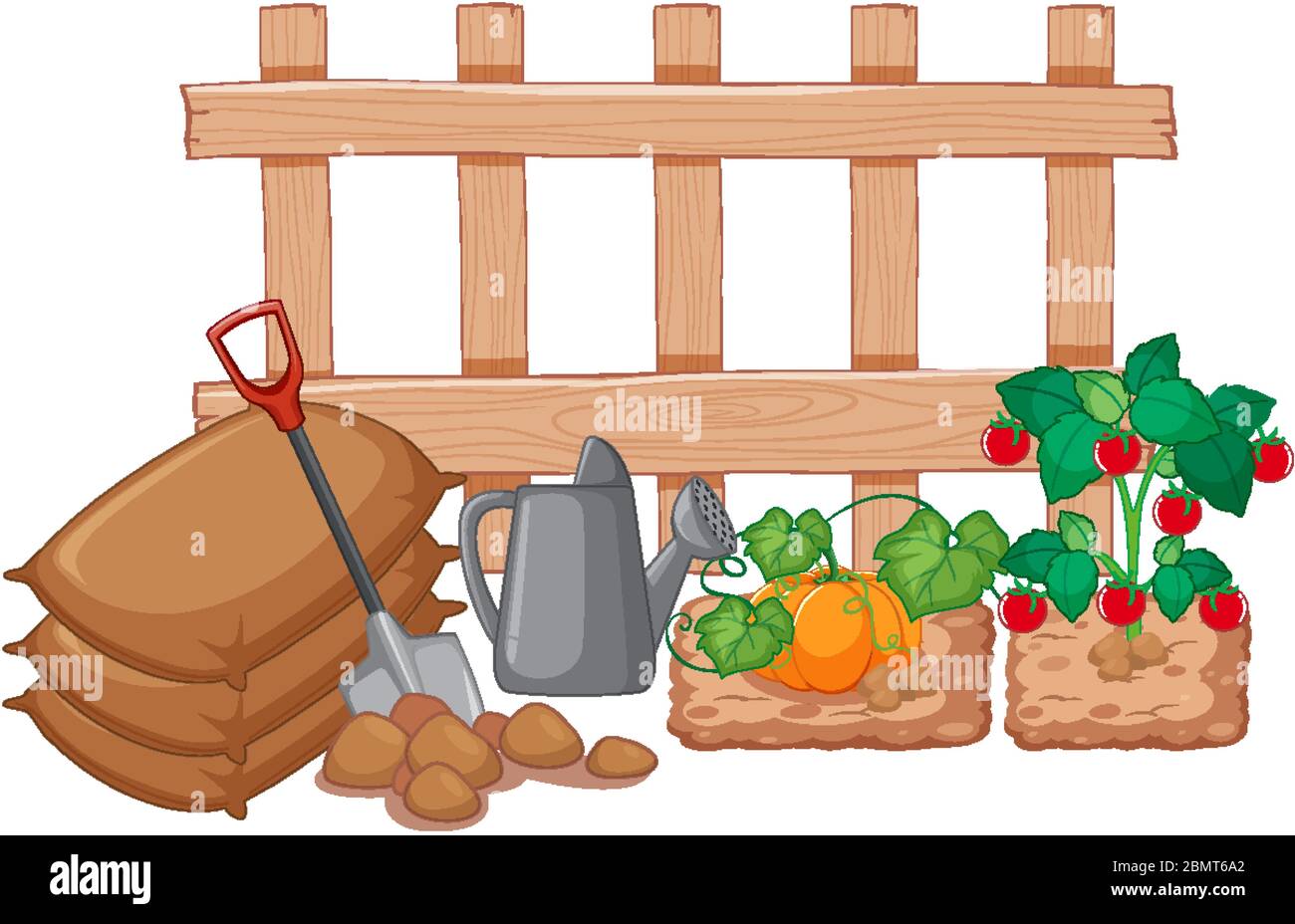 Vegetables growing in the garden on white background illustration Stock ...