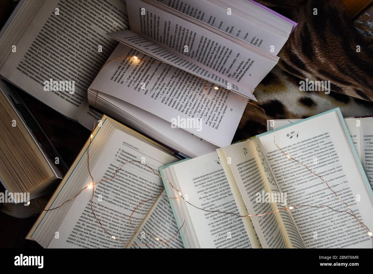 Literature Open books top view. Library and literature concept ...