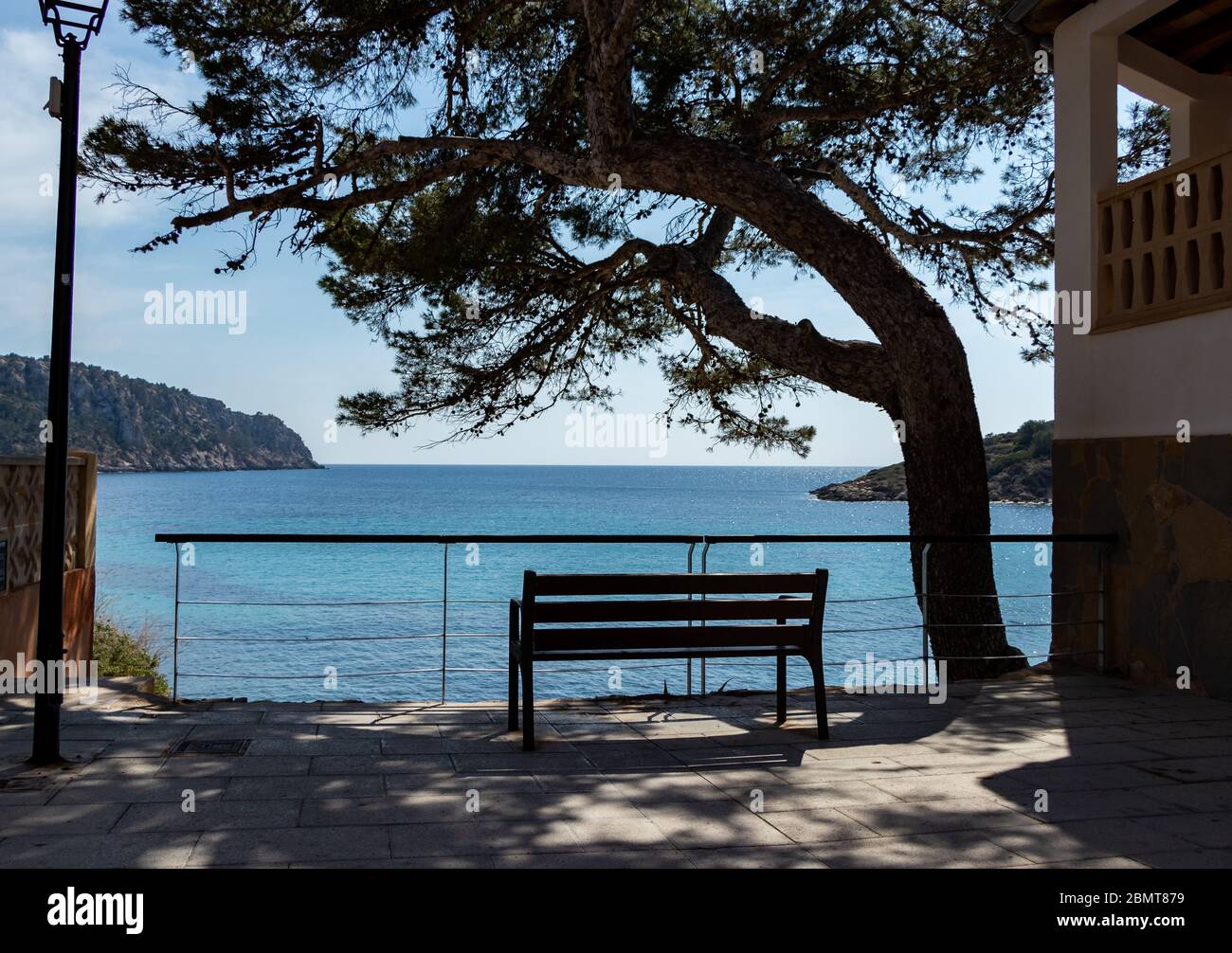 beautiful bench under a big tree with view to the coastline of sant elm ...