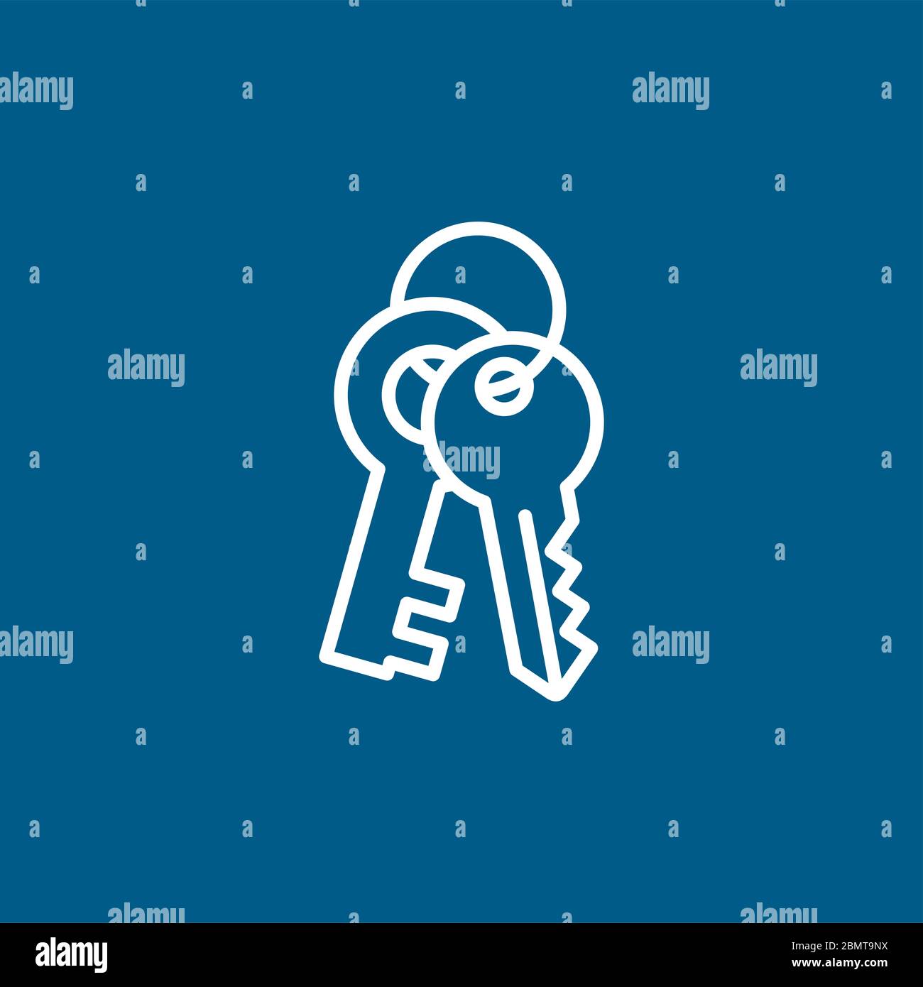 Key Line Icon On Blue Background. Blue Flat Style Vector Illustration ...
