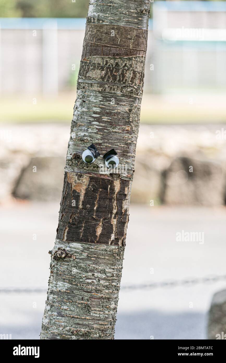 Angry tree hi-res stock photography and images - Alamy