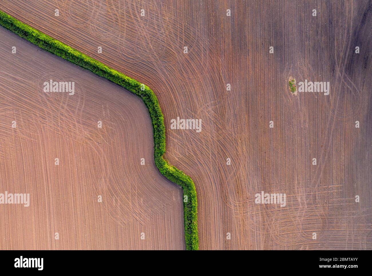 An aerial view of a hedge row in a freshly ploughed field in Somerset ...