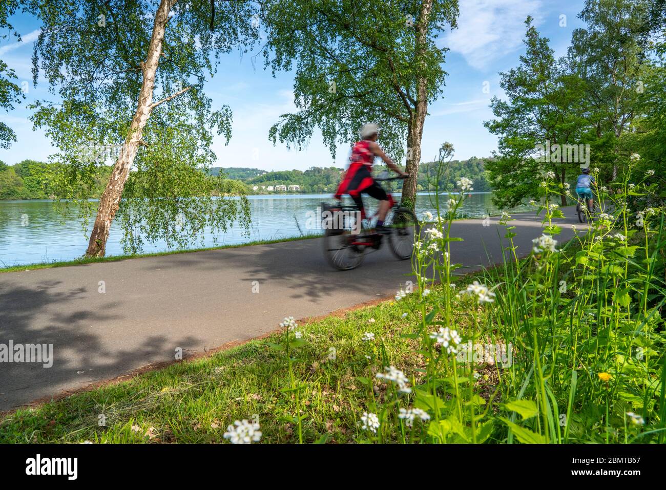 Cycling on the river Ruhr, lakeside path at Lake Baldeney in Essen, NRW ...