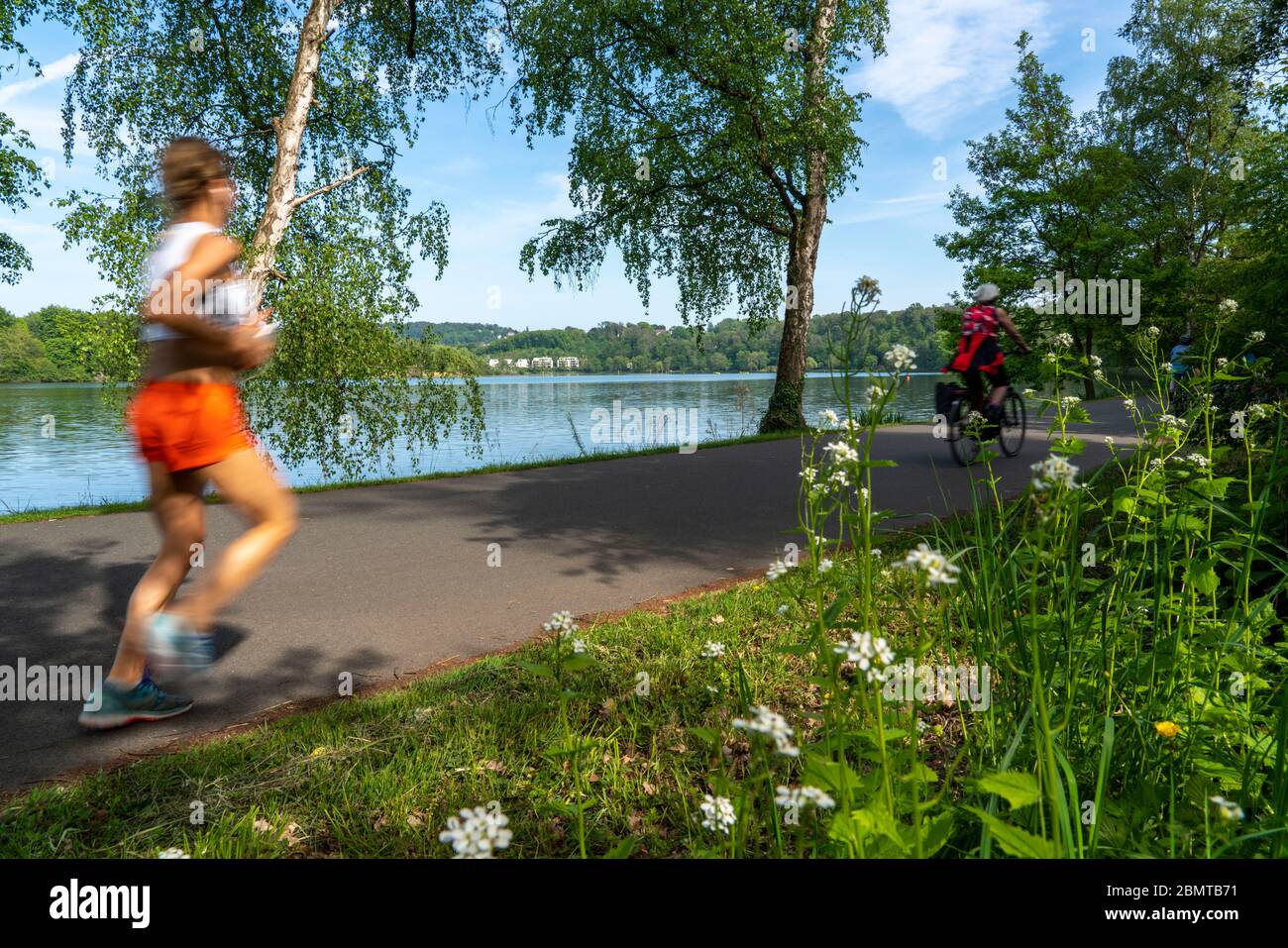 Cycling on the river Ruhr, lakeside path at Lake Baldeney in Essen, NRW ...