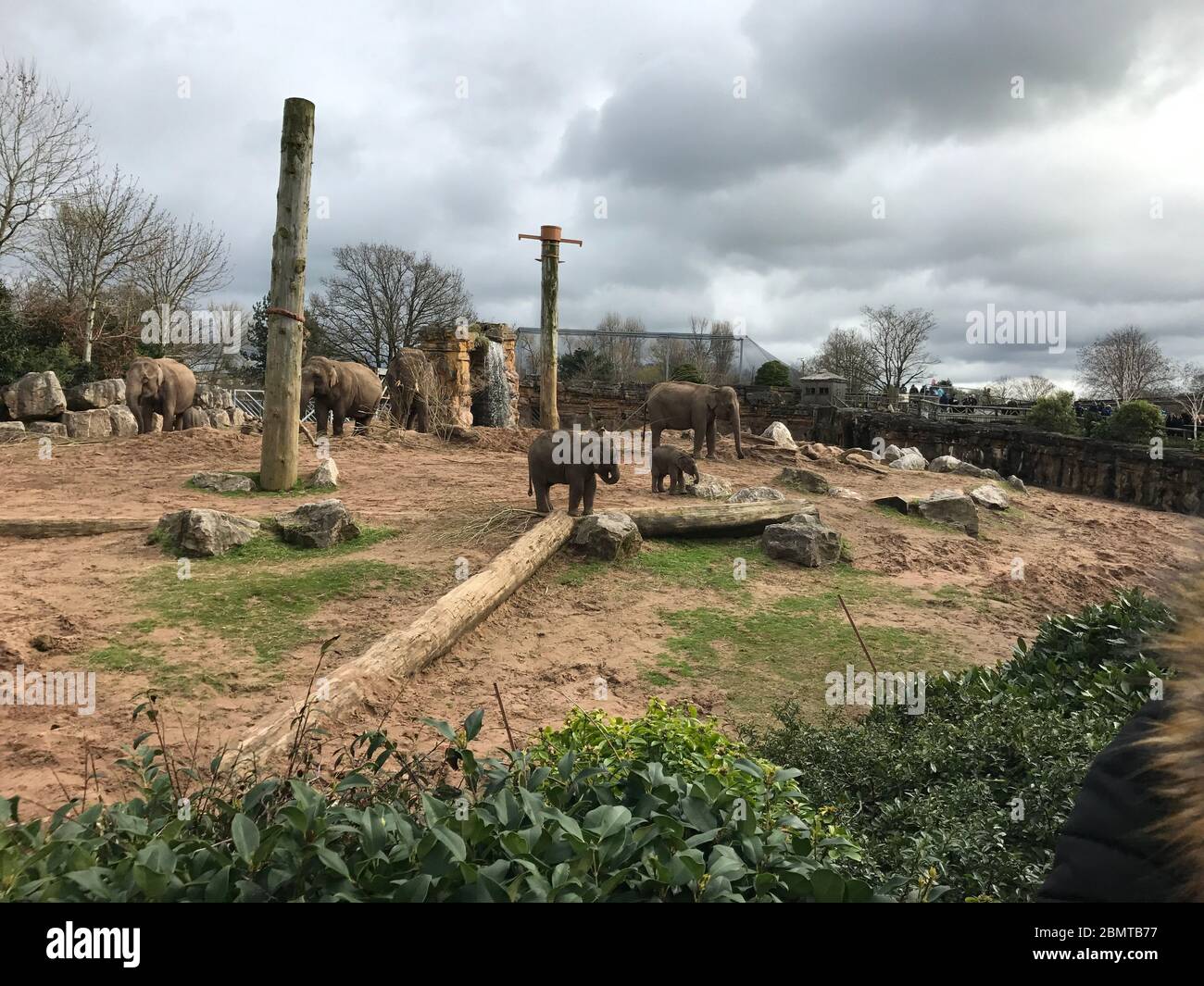 Zoo life hi-res stock photography and images - Alamy