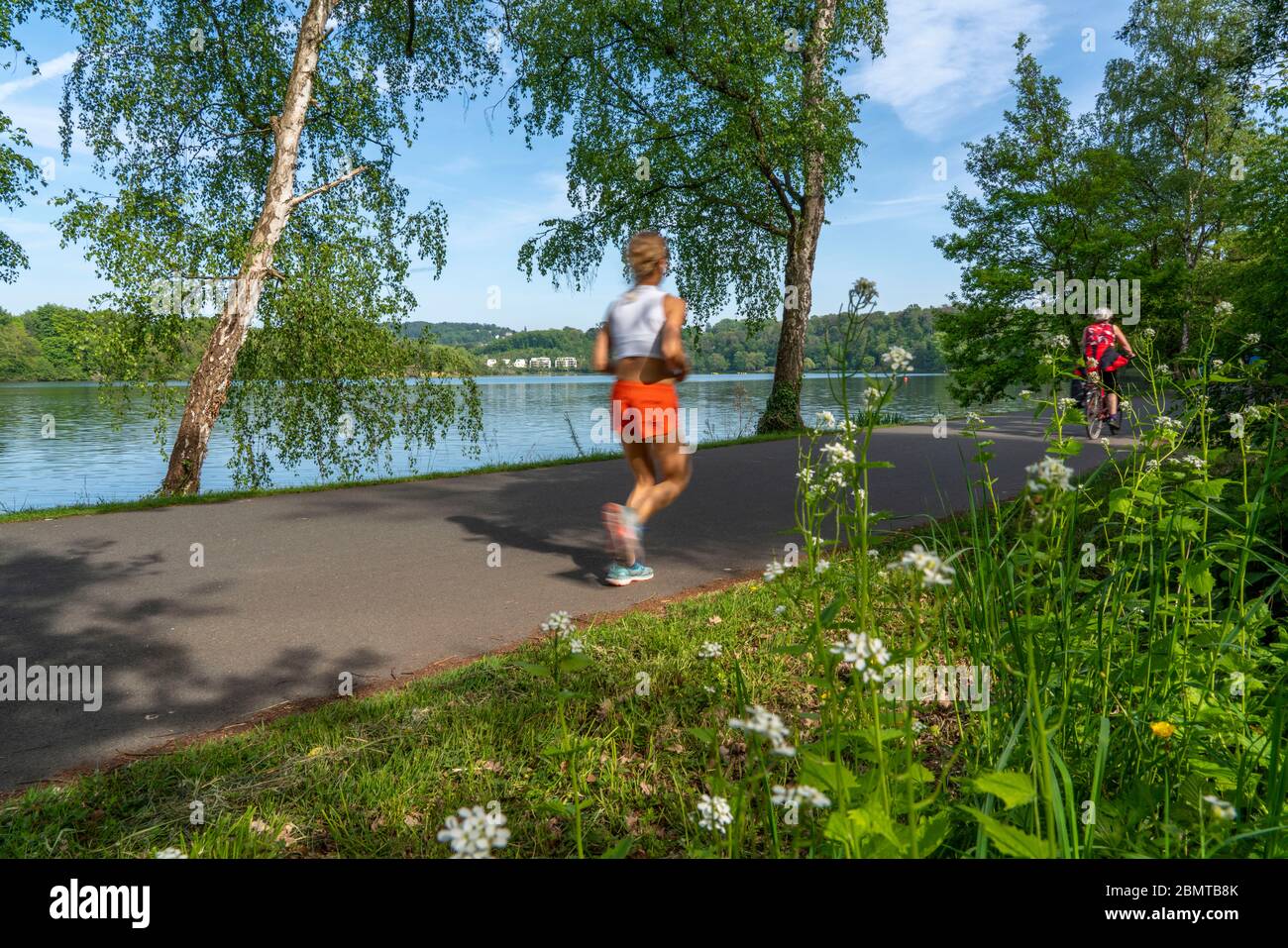 Cycling on the river Ruhr, lakeside path at Lake Baldeney in Essen, NRW ...