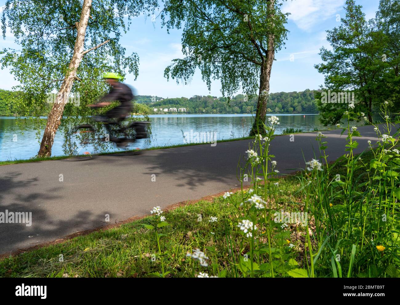 Cycling on the river Ruhr, lakeside path at Lake Baldeney in Essen, NRW ...