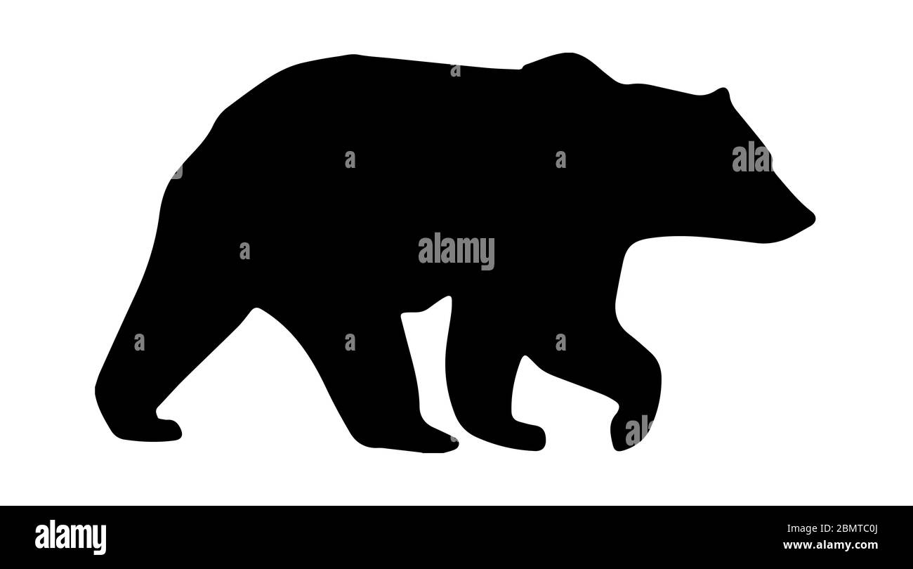 Arctic animals north on Black and White Stock Photos & Images - Alamy